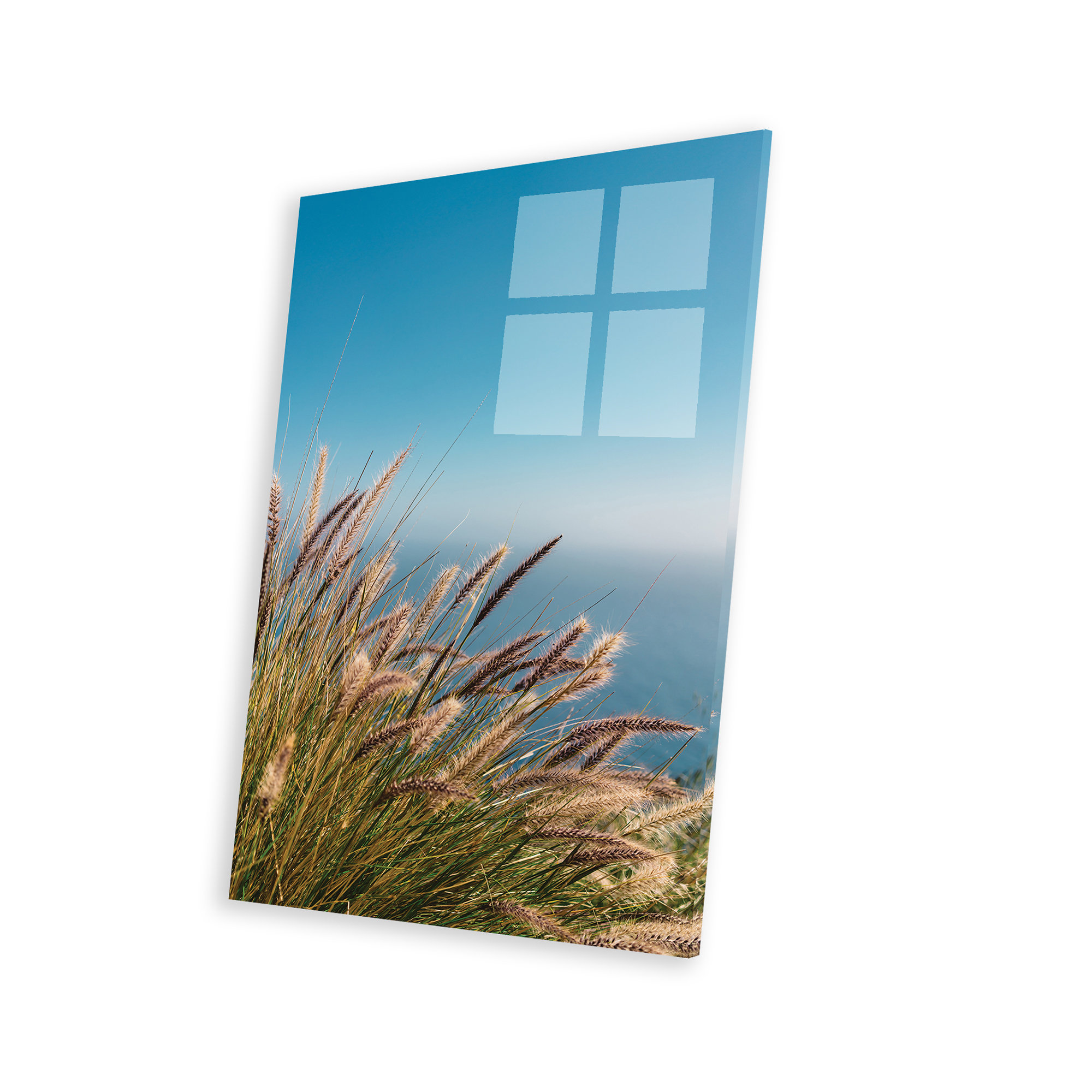 Highland Dunes Wild Big Sur II On Plastic / Acrylic by Bethany Young ...