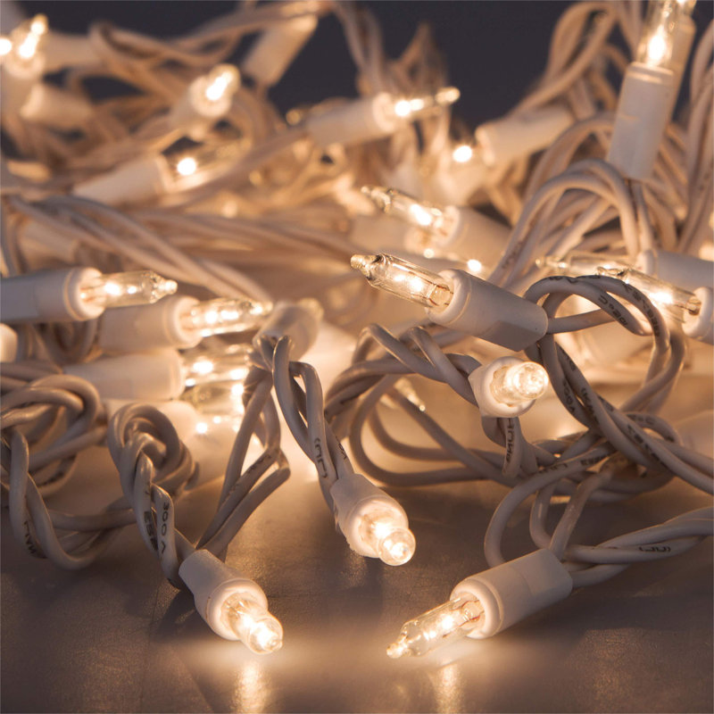 Lark Manor™ Christmas Lights(Pack of 2) | Wayfair