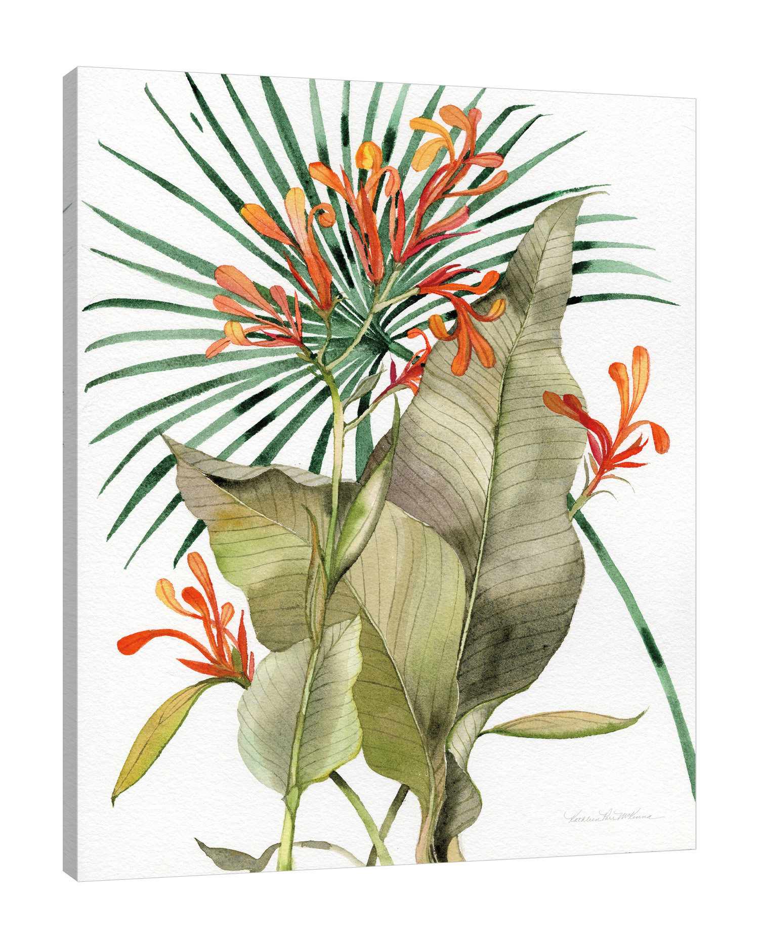 Jaxson Rea "Botanical Flame Lilies" Gallery Wrapped Canvas By Kathleen ...