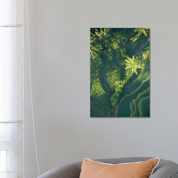 Bay Isle Home Bali Rice Paddies by Jaxon Roberts - Wrapped Canvas ...
