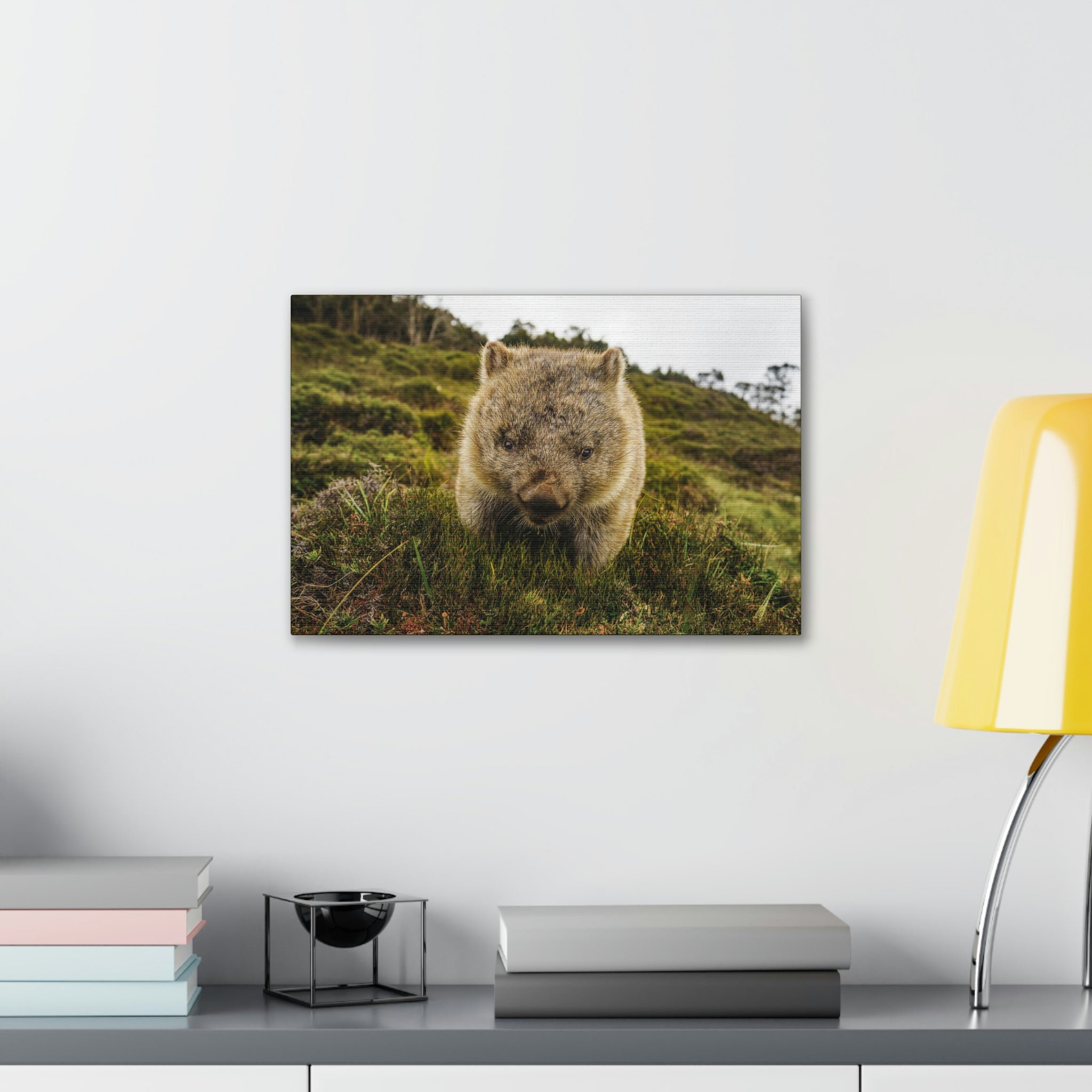 Latitude Run® Wombat Hunting Wombat on Hunt Print Animal Wall Art | Wayfair