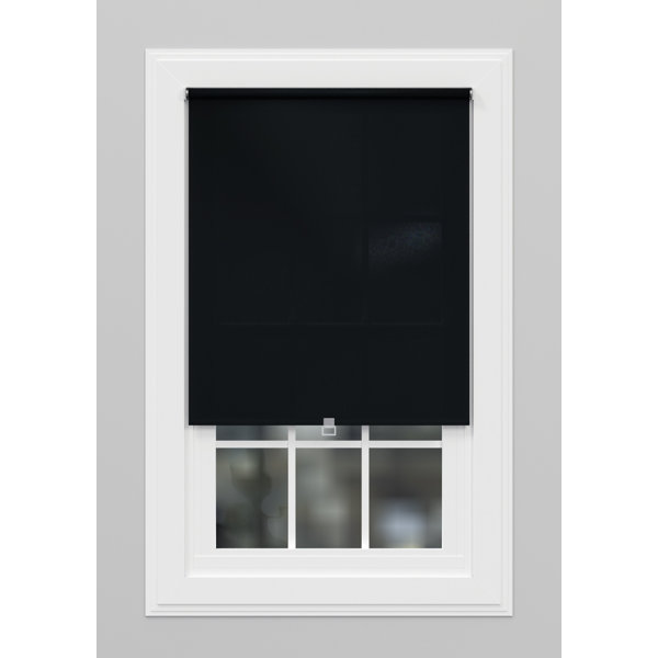 Symple Stuff Room Darkening Cordless Roller Shade & Reviews | Wayfair