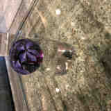 Global Views Decorative Crystal Column Riser Votive & Reviews | Perigold