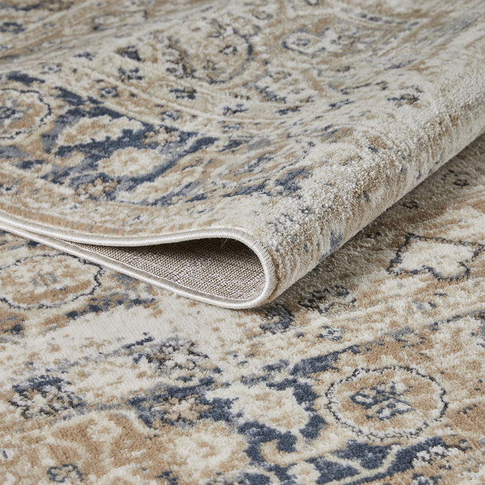 Charlton Home® Aldonia Oriental Rug & Reviews | Wayfair
