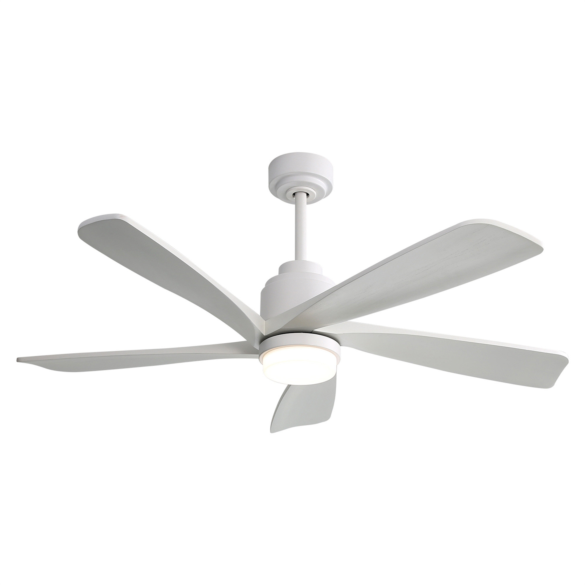 Ivy Bronx 52 Inch Modern Ceiling Fan With Dimmable LED Light 5 Solid ...