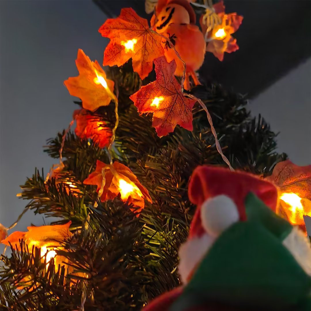 The Holiday Aisle® Battery LED String Lights Fall Decor Fairy String ...