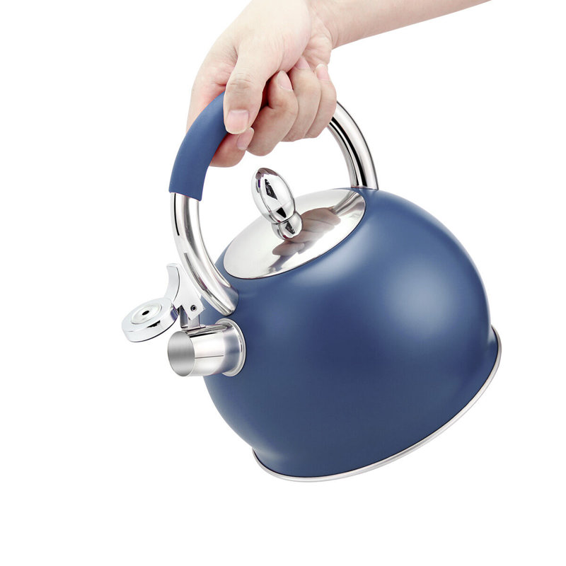 HAUS ROLAND 3.2 Quarts Stainless Steel (18/10) Whistling Stovetop Tea ...