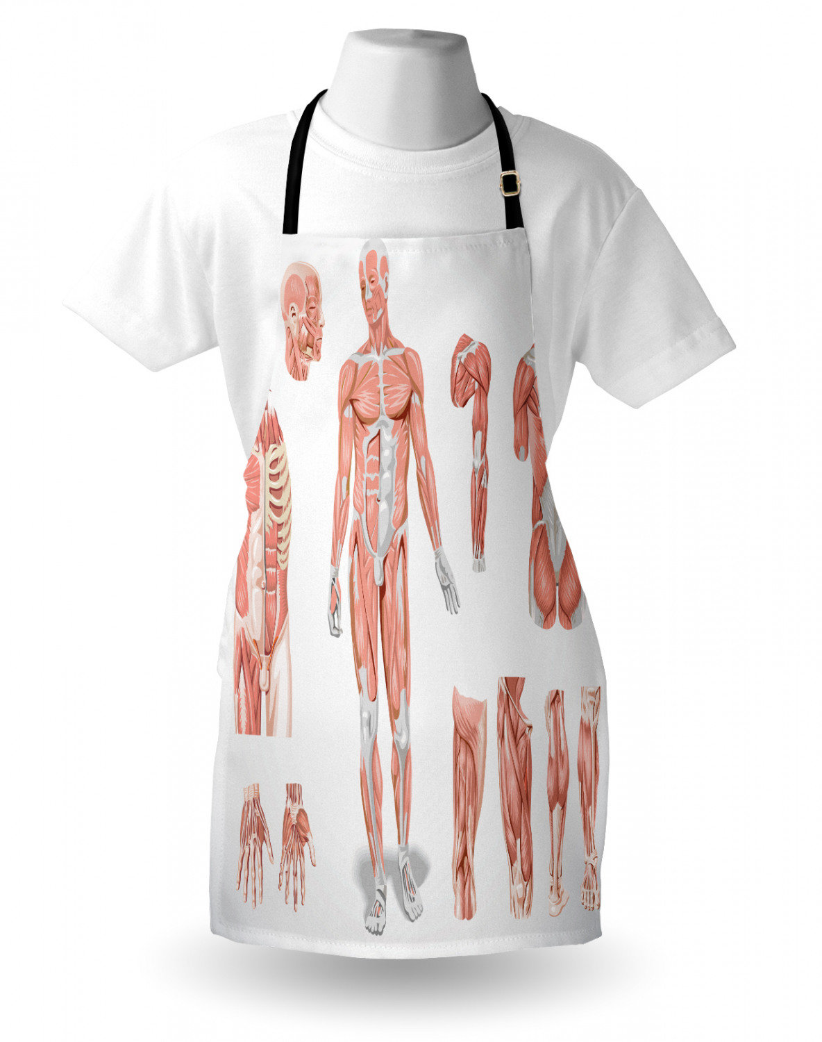 East Urban Home Human Anatomy Apron - Wayfair Canada