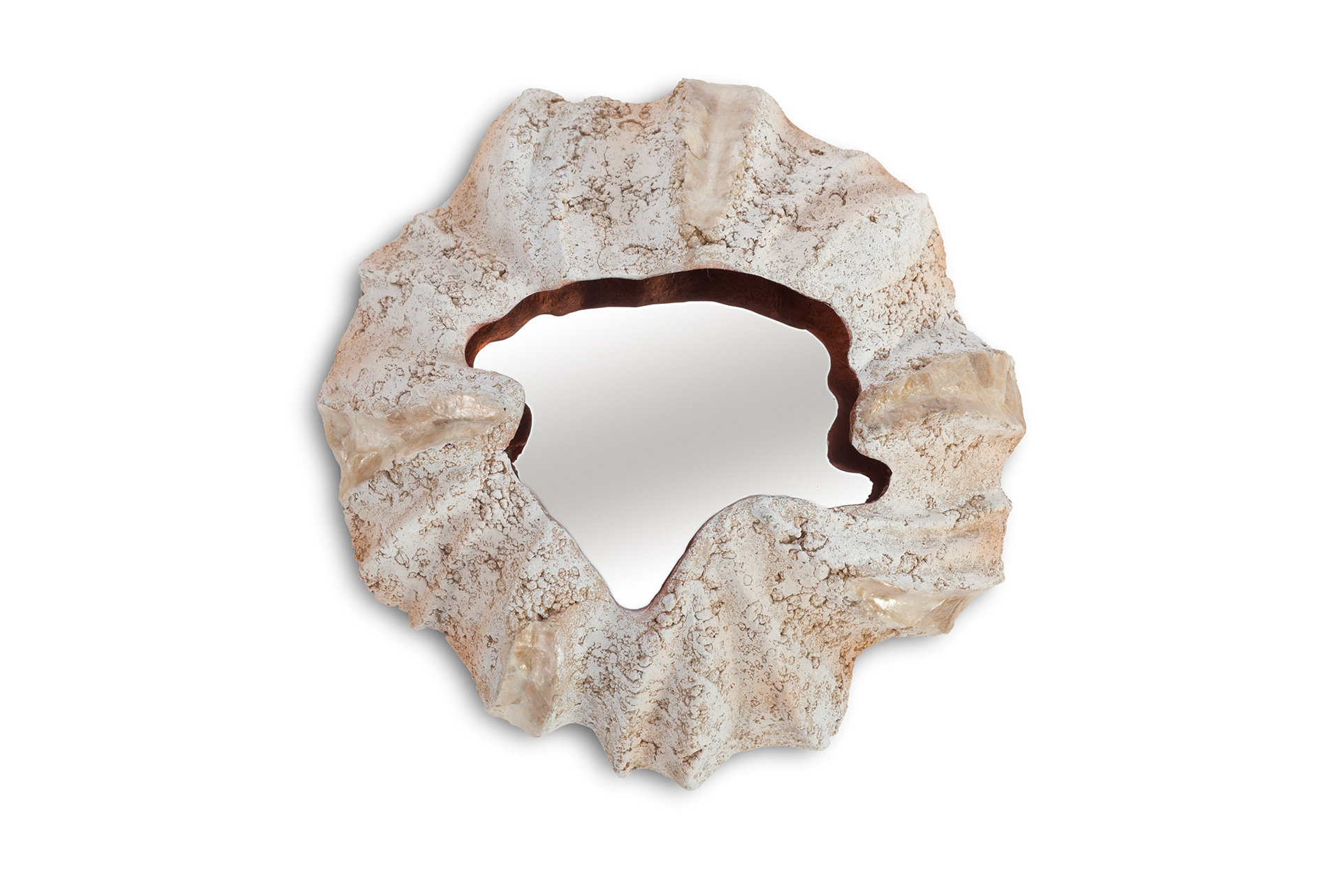 Rosecliff Heights Barnacle Wall Décor | Wayfair