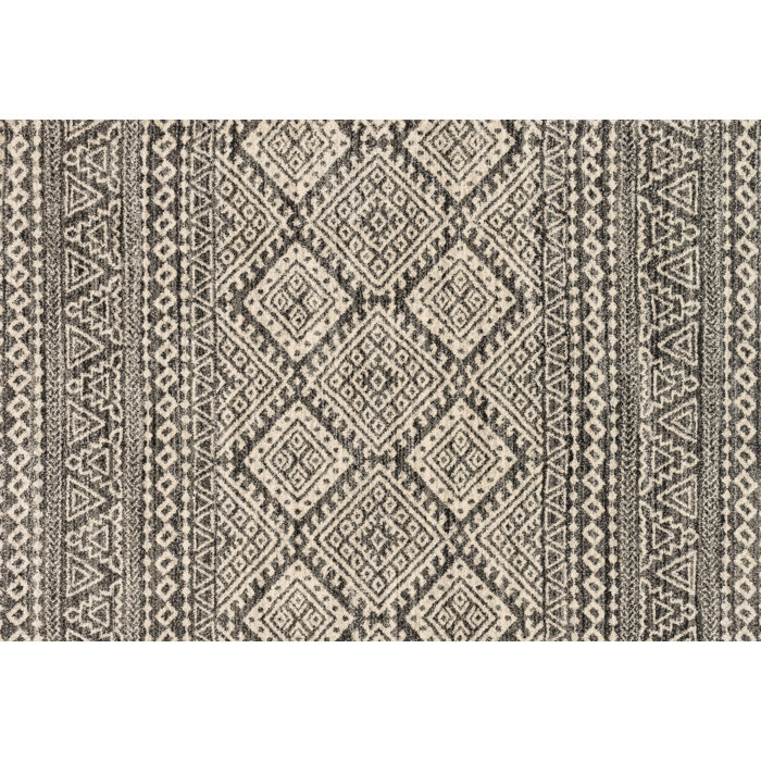 Latitude Run® Aparicio Performance Gray Rug & Reviews | Wayfair