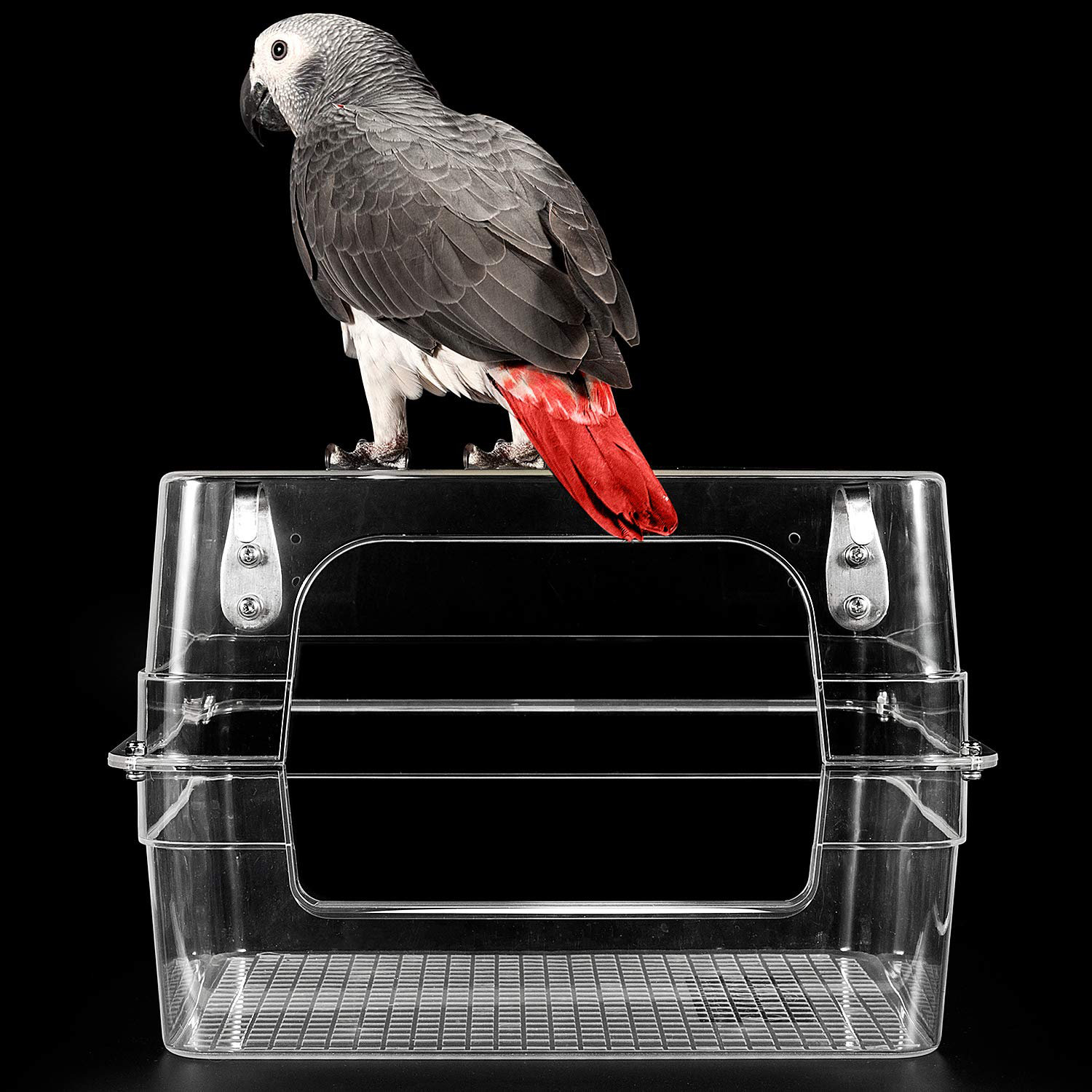 Ophelia & Co. Large Bird Bath For Cage, Parrot Bath For Parakeet ...