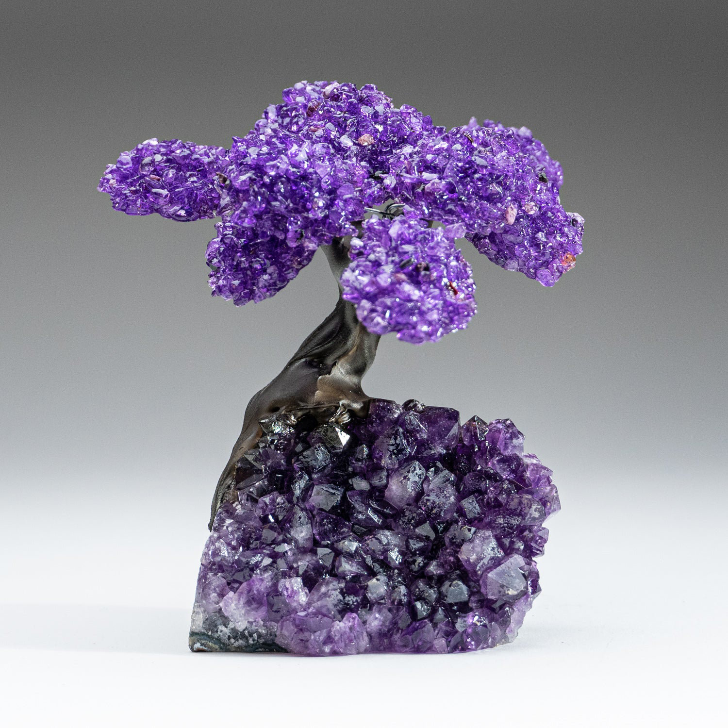 Astro Gallery of Gems Medium Amethyst Clustered Gemstone Tree on ...