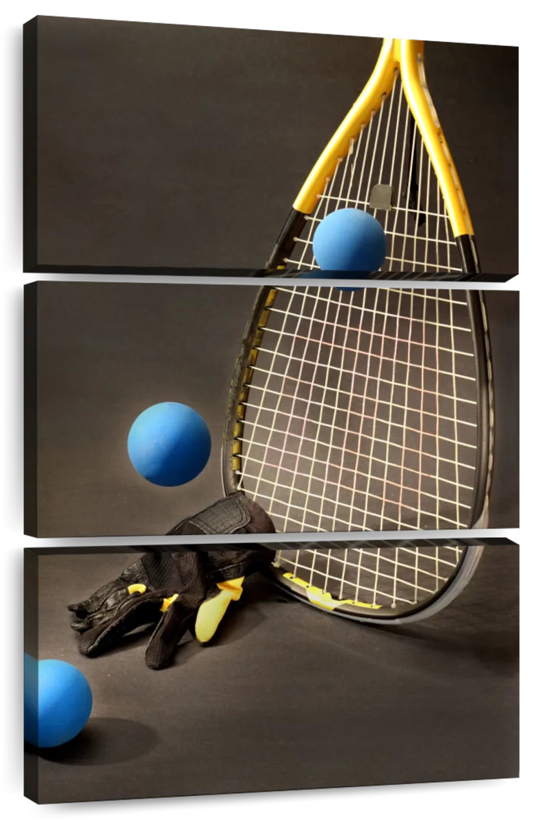 Elephant Stock Racquetball Sports Equipment - Wayfair Canada