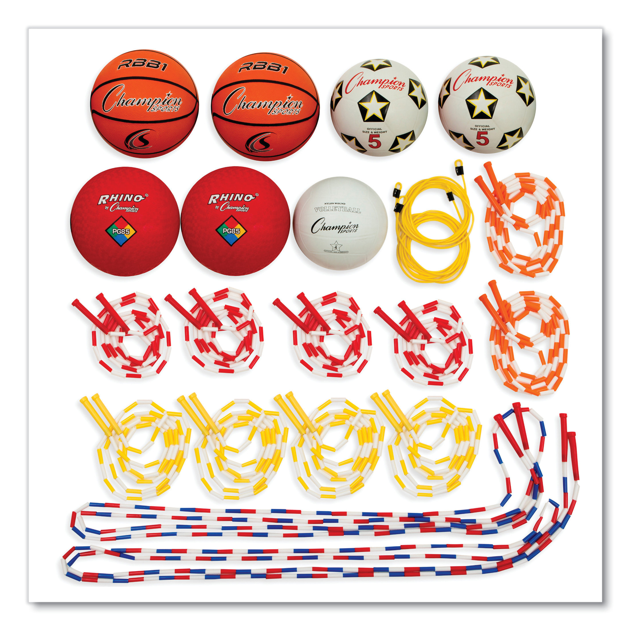 Champion Sports Physical Education Kit Ball | Wayfair