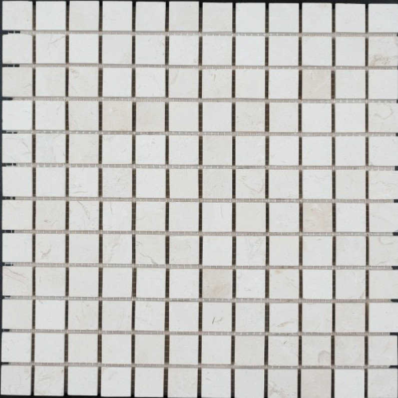 Cordelio 1x1 SHELL STONE HONED | Wayfair