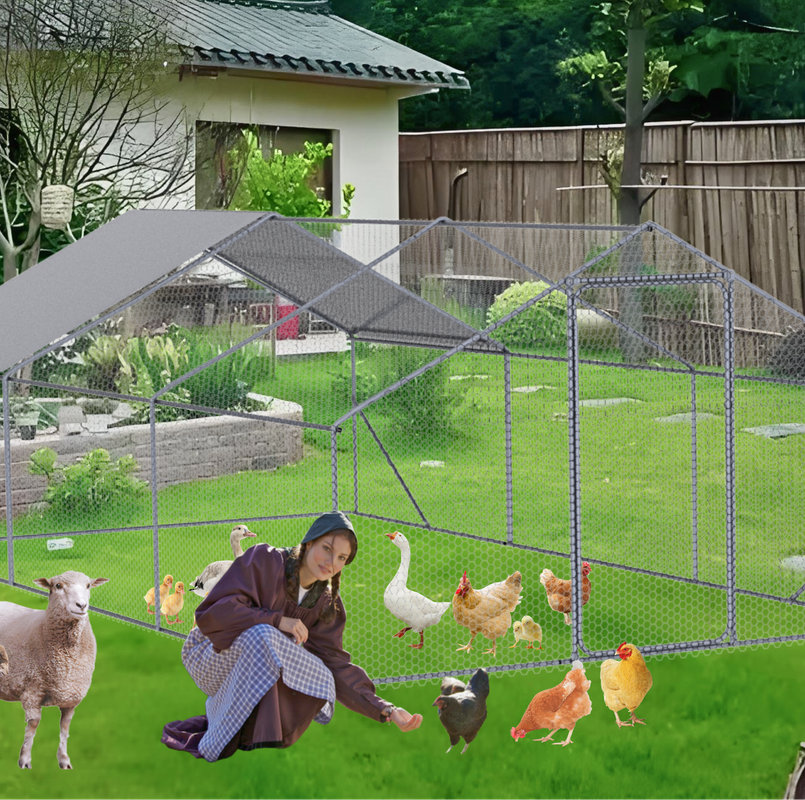 17 Stories Extra Large 20FT Metal Chicken Coop - XPT035 Outdoor Poultry ...