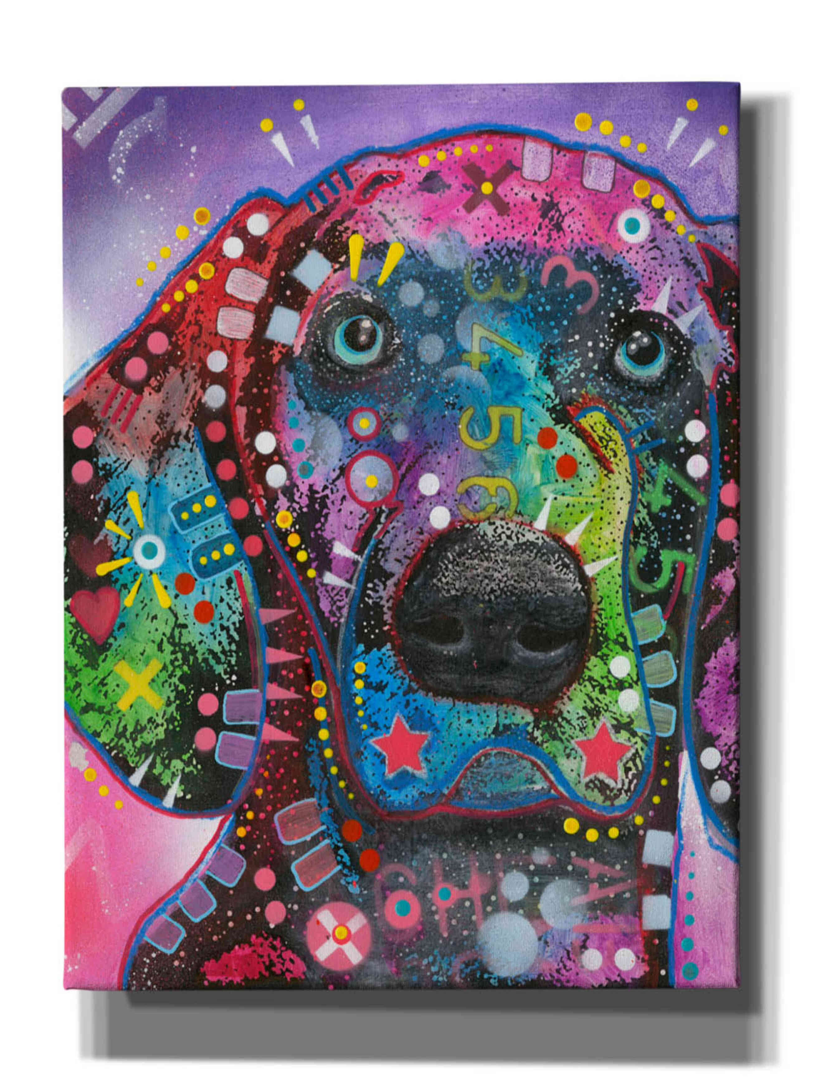 Latitude Run® Purple Excitement by Dean Russo - Wrapped Canvas Print ...