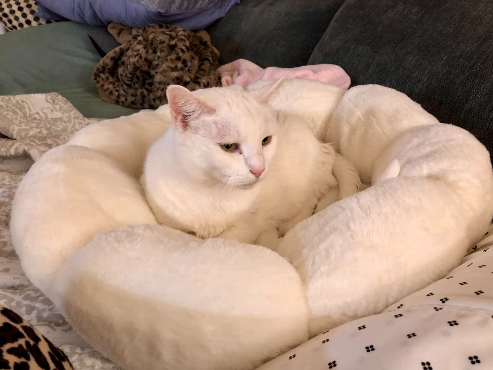 Archie & Oscar™ Machine Washable Non-Skid, Fluffy Flower Cat Bed Cute ...