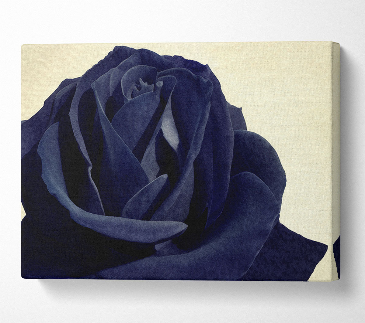 Fairmont Park Black Blue Rose - Print | Wayfair.co.uk