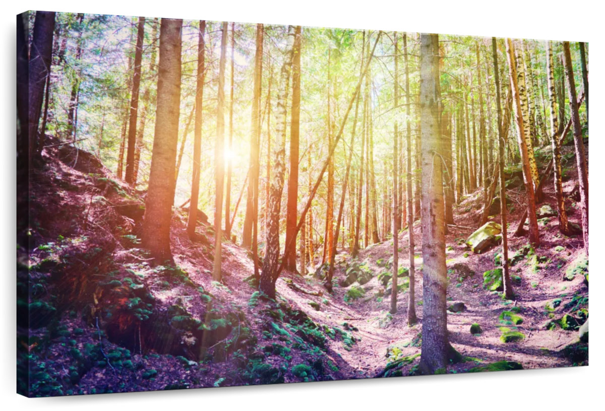 One Allium Way® Fantasy Forest Trees | Wayfair