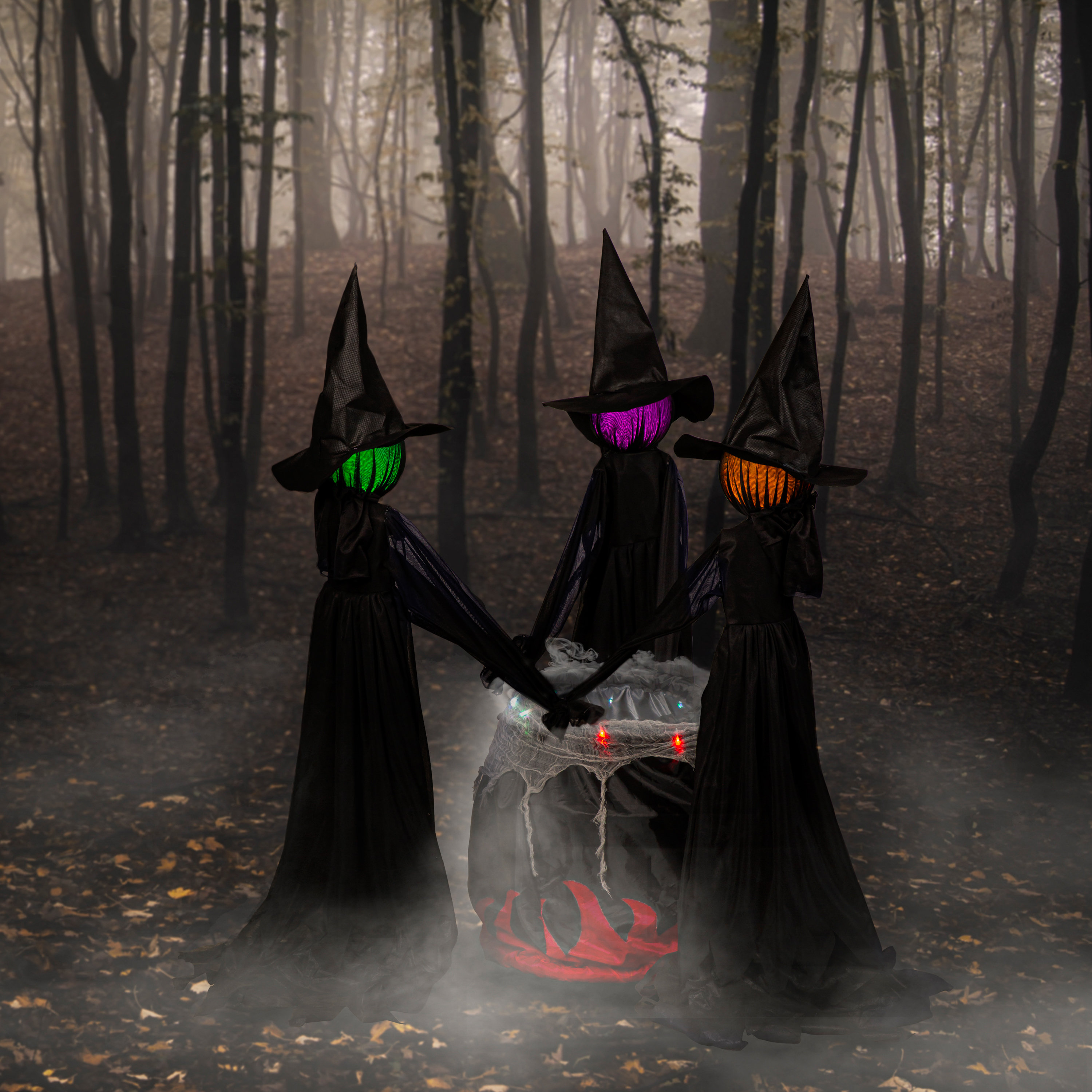 The Holiday Aisle® Adrean Lighted Trio Witches with Cauldron Decor ...