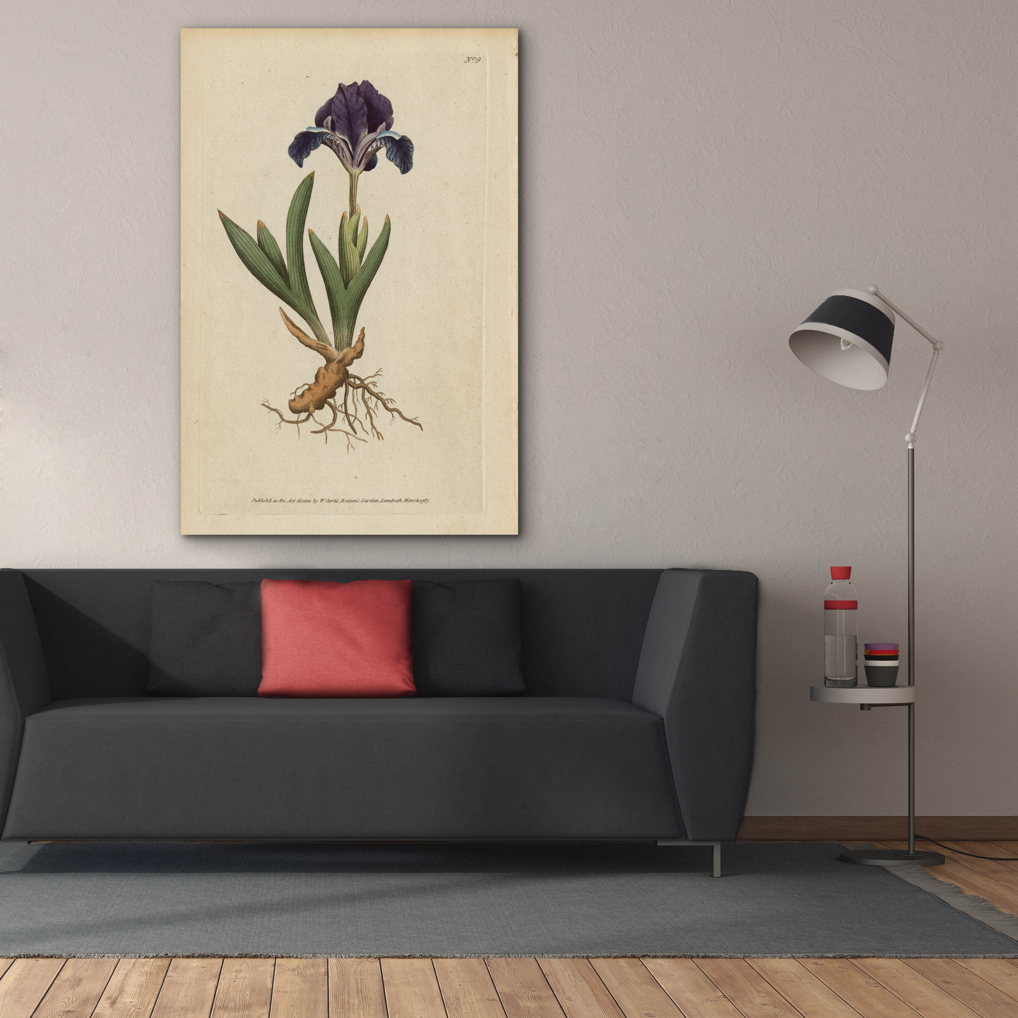 Epic Graffiti 'Dwarf Iris' by Art Licensing Studio Canvas Wall Art, 40 ...