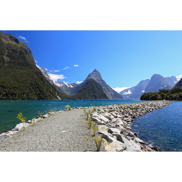 Millwood Pines Mitre Peak In Fiordland National Park, Southern Island ...