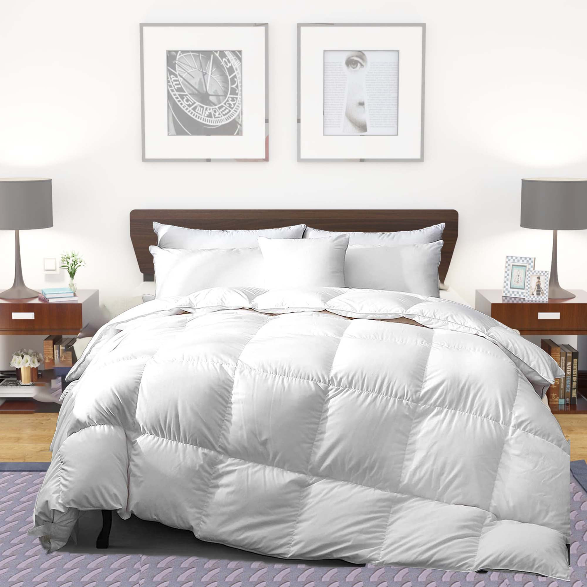 ValenciaLuxe All Season Down & Feather Blend Comforter 600in³/oz Fill ...