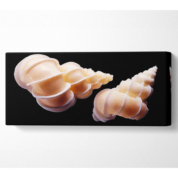 House of Hampton Beautiful Shell Duo - Wrapped Canvas Art Prints ...