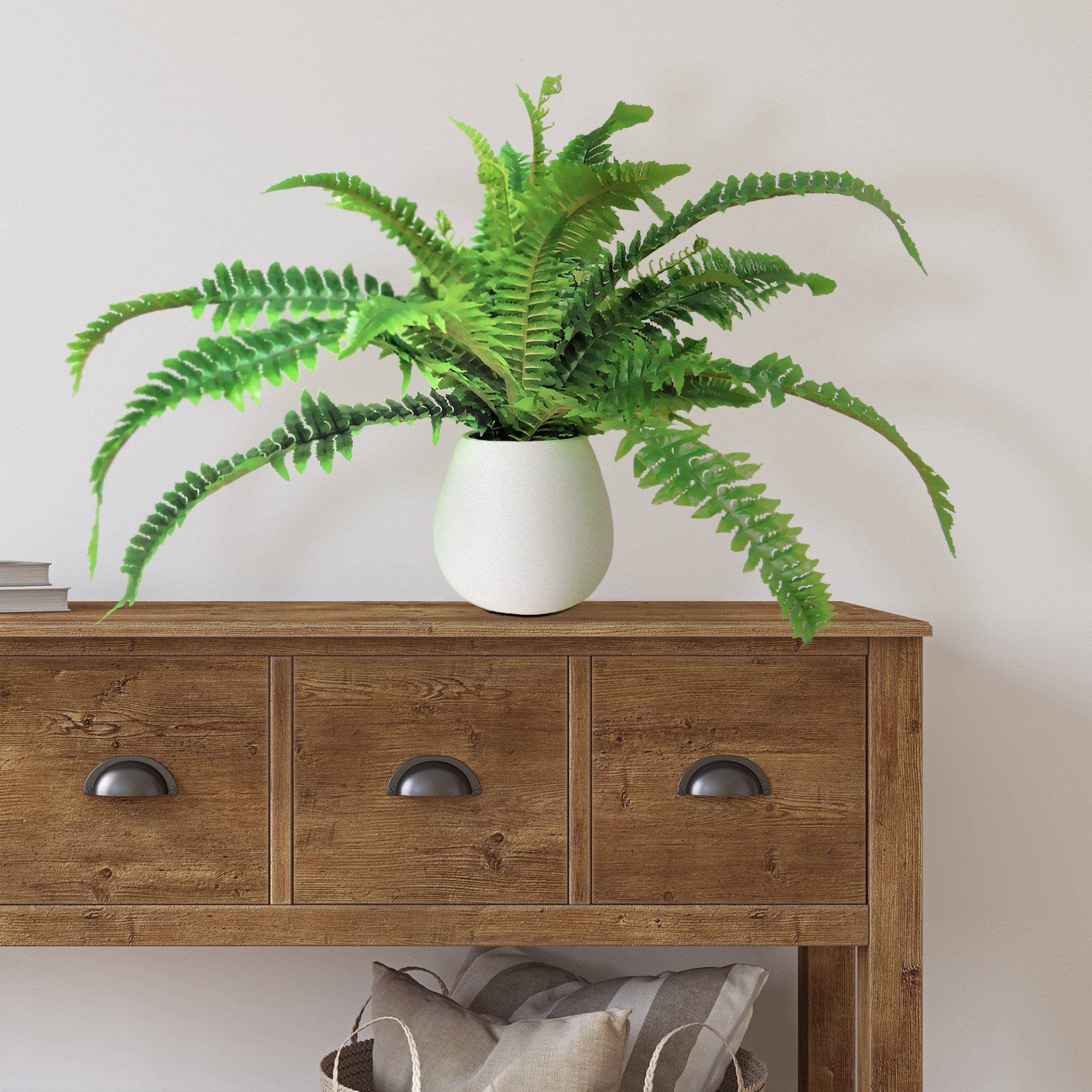 Primrue 22 Inch Fern In Bulb Ceramic Pot - Wayfair Canada