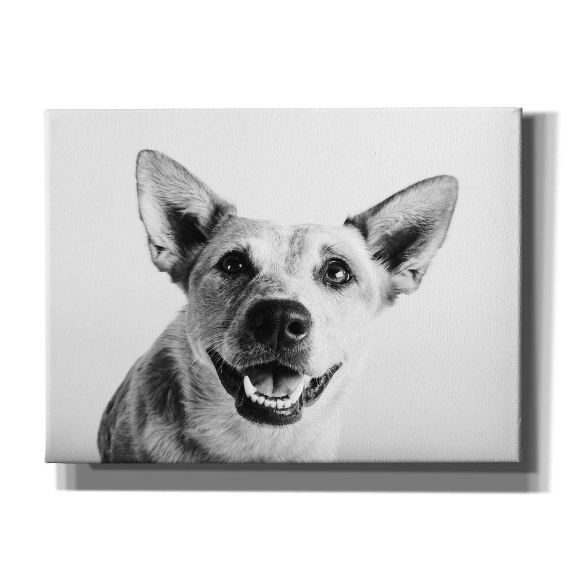 Latitude Run® Treydan Irma | Wayfair
