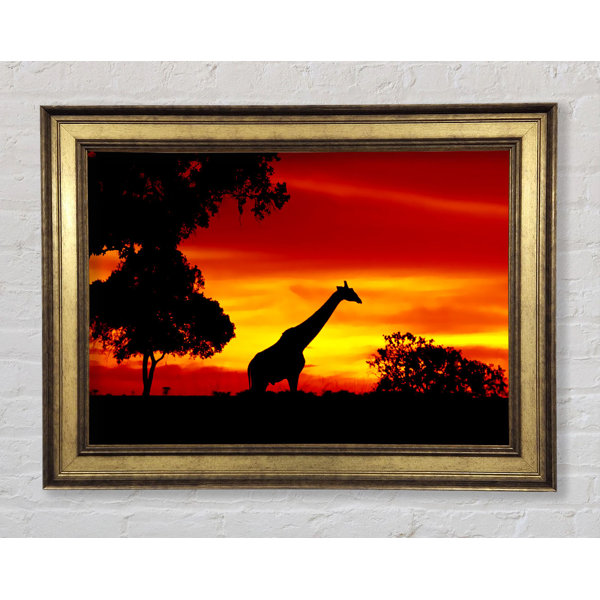 Bright Star Single Picture Frame Print | Wayfair.co.uk