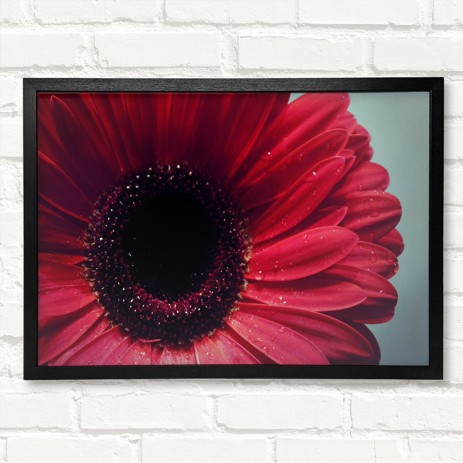 Latitude Run Gerbera Flower Deep Red Framed Print | Wayfair.co.uk