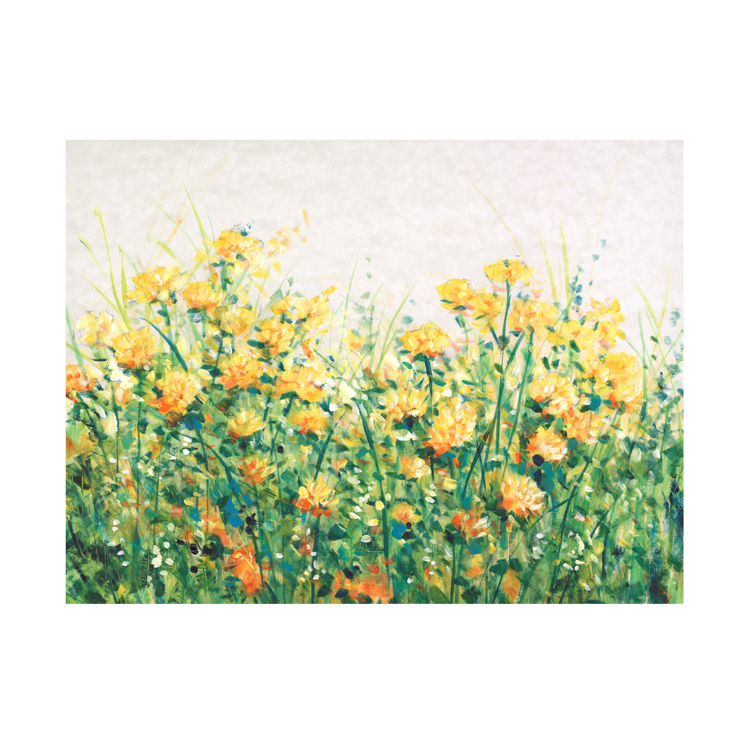 Winston Porter Garden In Bloom III On Canvas by Tim O'Toole Print | Wayfair