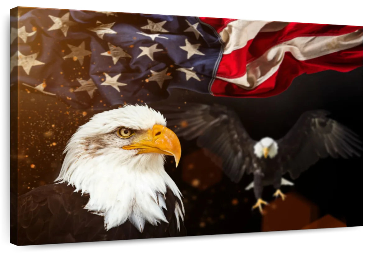 Ebern Designs Brampt Fierce Eagle American Flag | Wayfair
