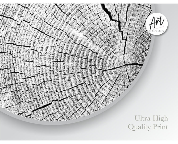 ART TERRITORY Extra Large Tree Ring Horizontal Poster, Canvas Wall Art ...
