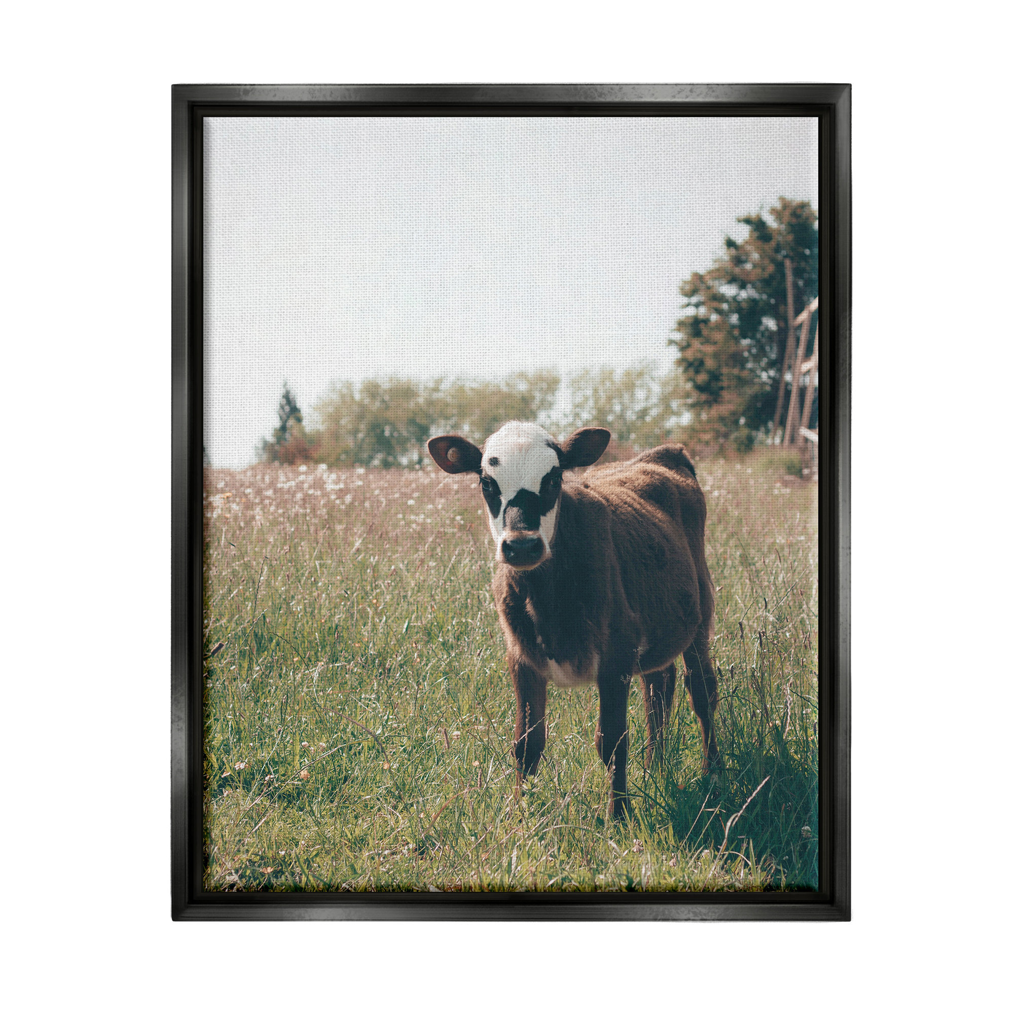 August Grove® Cow Calf Rural Farm Meadow Framed Floater Canvas Wall Art ...