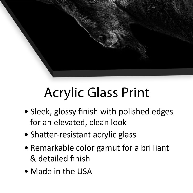 Ebern Designs East Caucasian Tur In Black & White On Plastic/Acrylic by ...