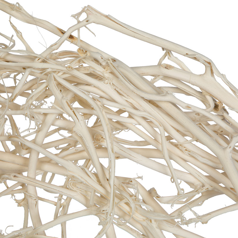 Primrue 5 Piece Preserved Foliage Branch | Wayfair