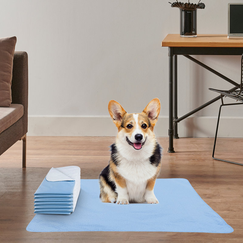 Bargoose Home Textiles Waterproof Incontinence Pad, Machine Washable ...