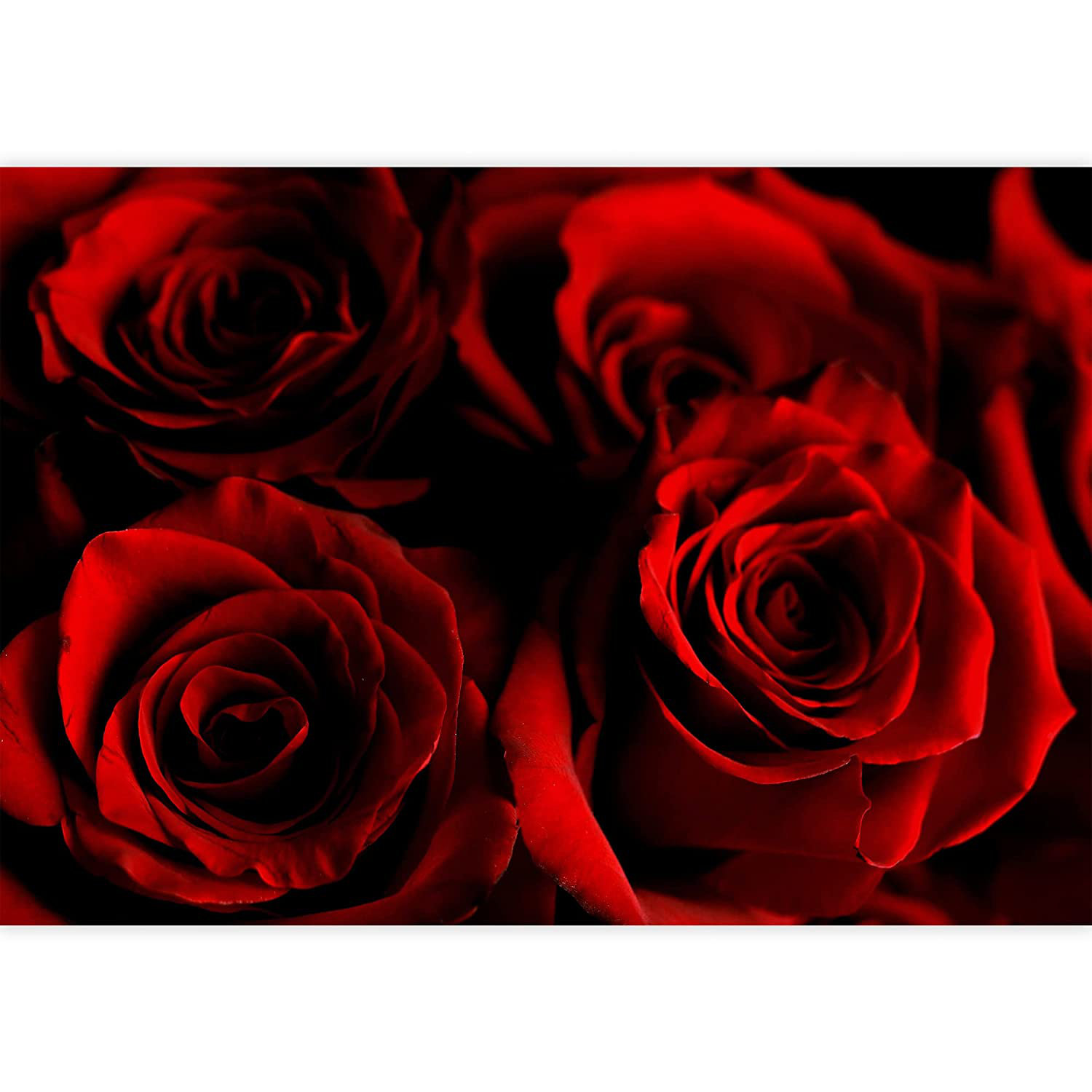 IDEA4WALL High Contrast Vibrant Rose Flowers | Wayfair