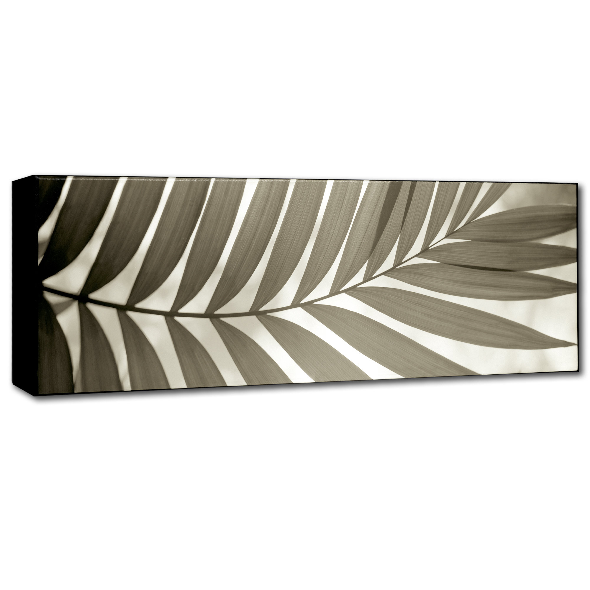 Bay Isle Home™ Florison XCVIII by Alan Blaustein - Photograph Print on ...