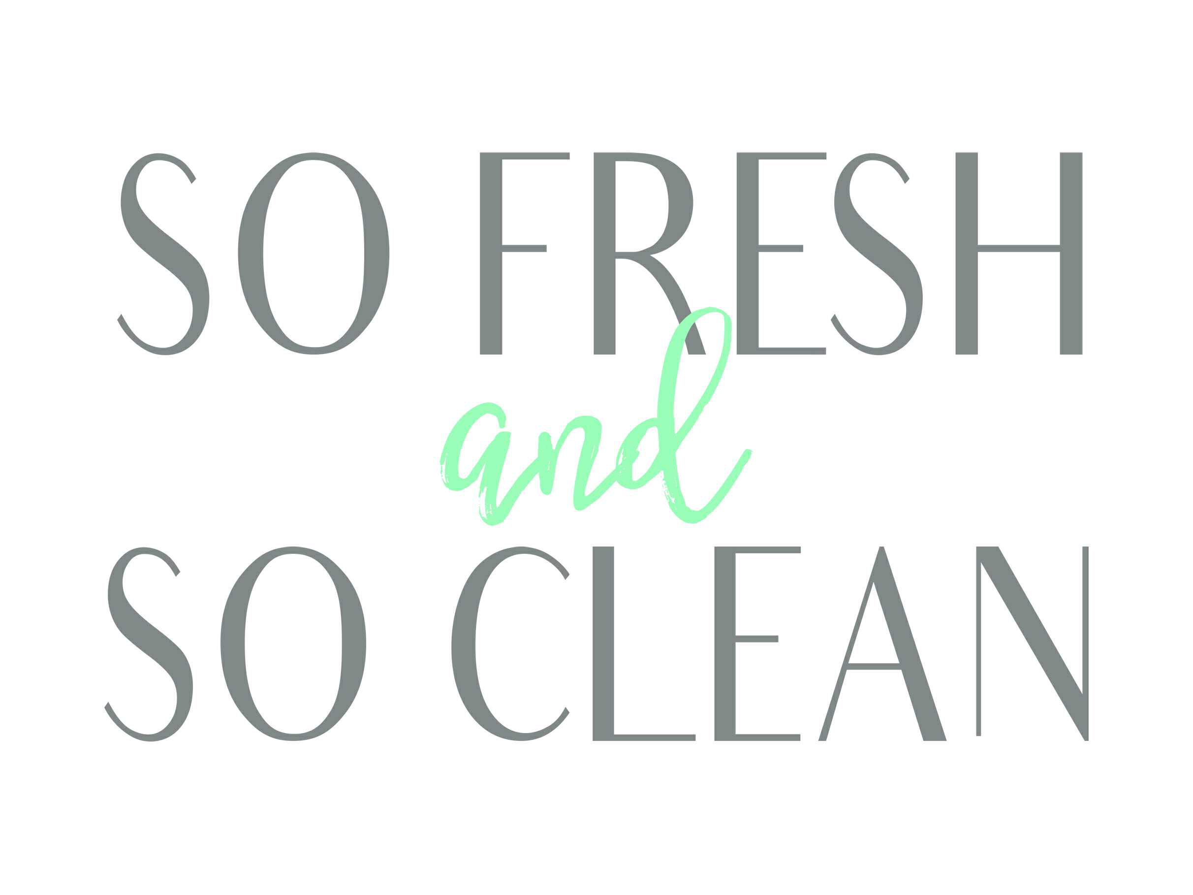 Trinx So Fresh so Clean - Wrapped Canvas Print | Wayfair