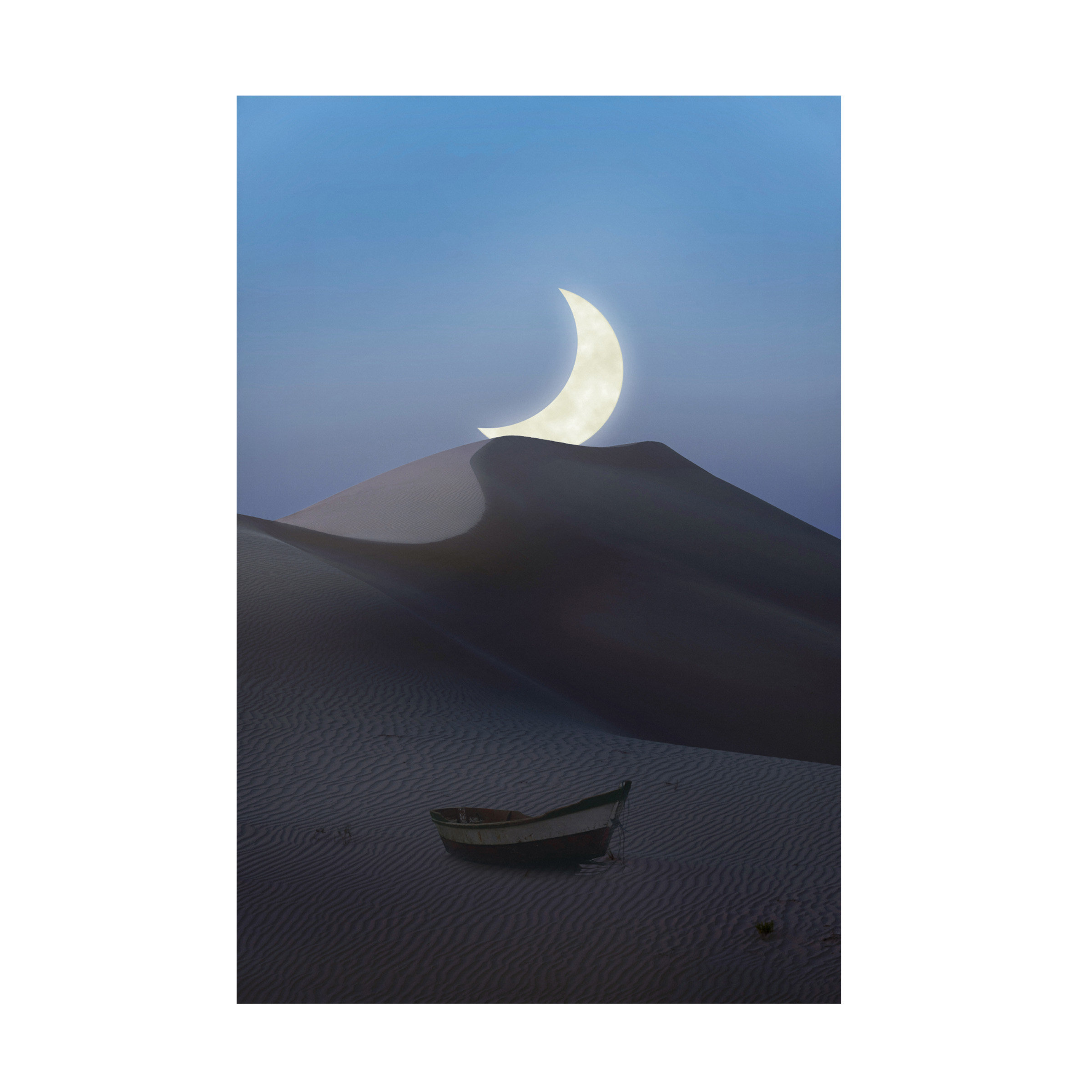 Trademark Fine Art Modern & Contemporary This Used To Be An Ocean On ...