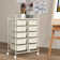 Rebrilliant Milin 10 Drawer Storage Drawer with Locking Wheels ...