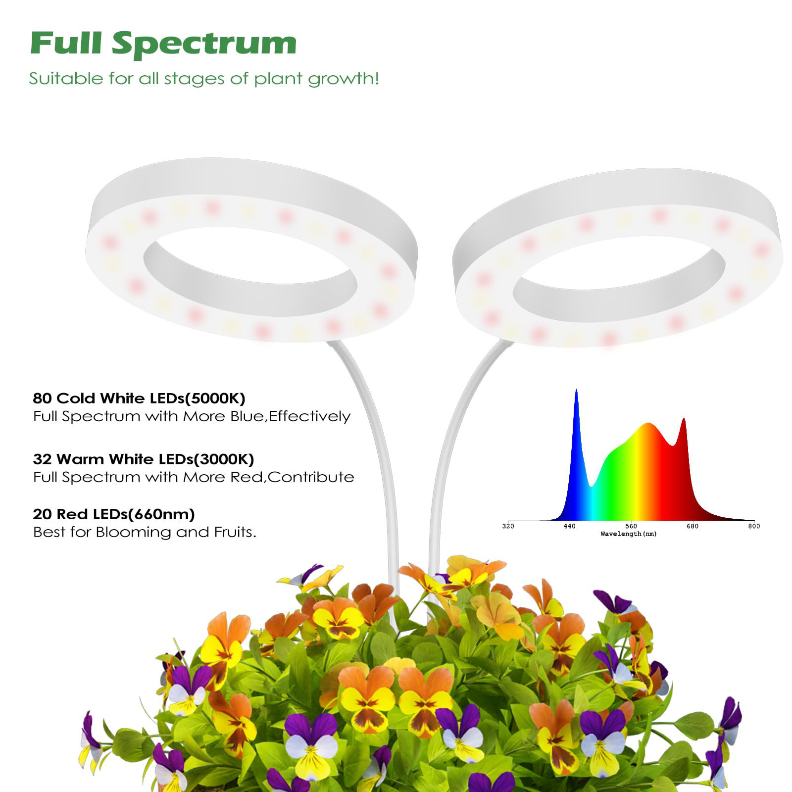 BTERAZ Full Spectrum Plant Light For Indoor Plants | Wayfair