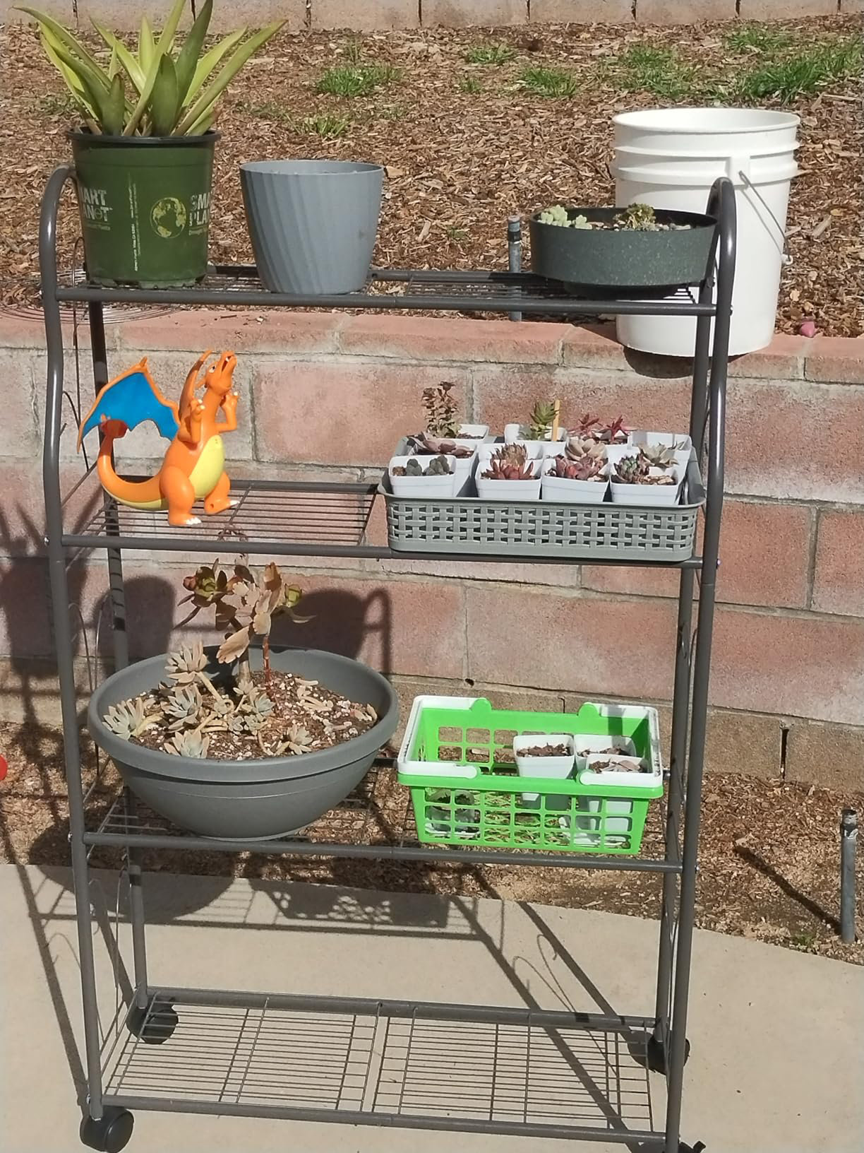 Arlmont & Co. 4 Tier Moveable Plant Shelf, Grey Heavy Duty Metal ...