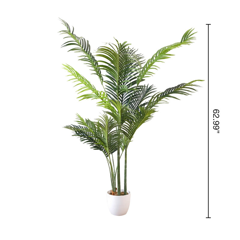 Primrue Palmiste multipliant - Wayfair Canada