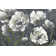 Marlow Home Co. Gloom Flowers - Wrapped Canvas Painting | Wayfair.co.uk