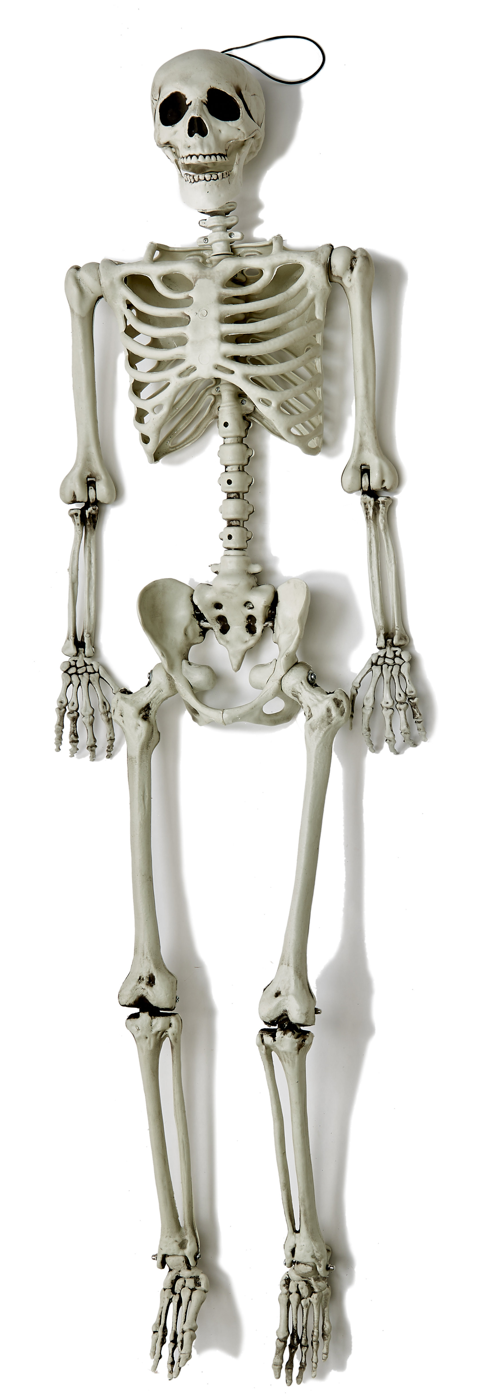 The Holiday Aisle® Life Size Hanging Skeleton - Wayfair Canada